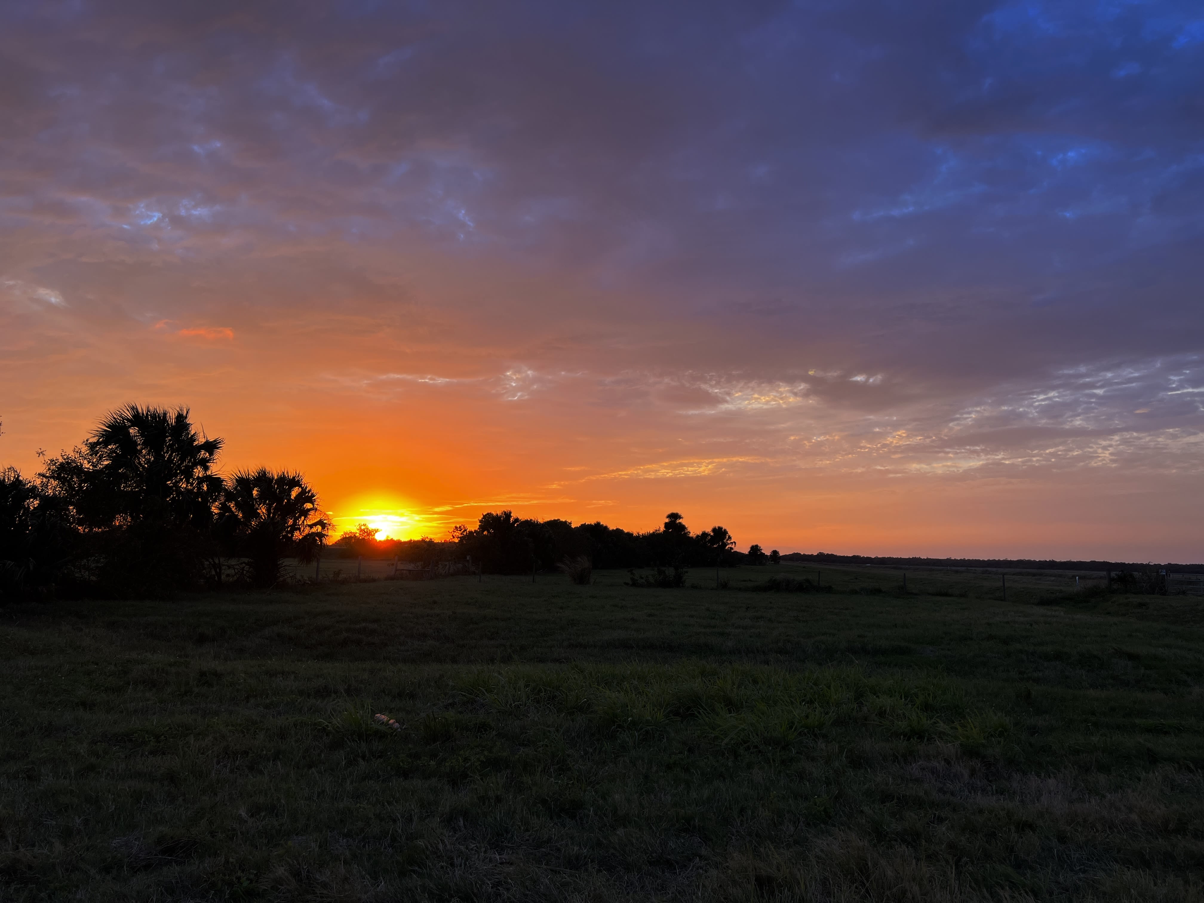 Rockin' For Impact Campaign